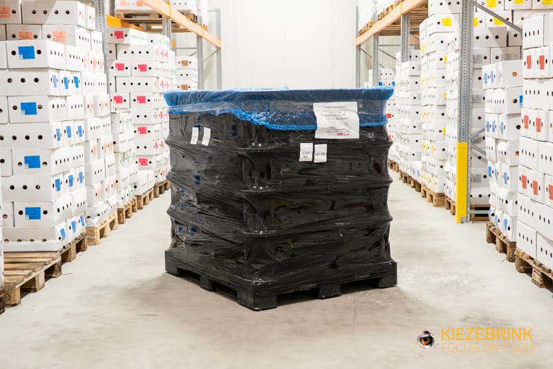 Beef With Bones - Cat. 2 - 500 kg (2.5 kg pcs) | Kiezebrink