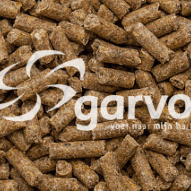 Fancy Poultry Pride (partridges, quails, pheasants) | 826 | Kiezebrink