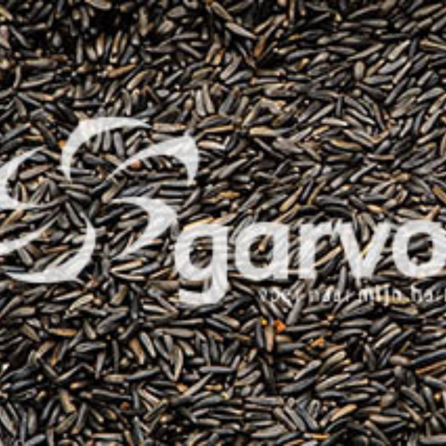 Nigerseeds 5360 | Kiezebrink Focus on Food